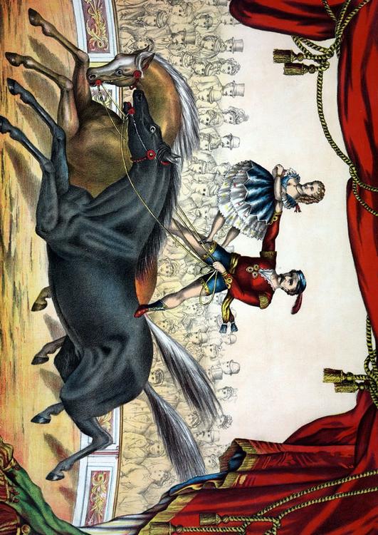 Bild av cirkus – Skriv Ut Gratis Bilder – Bild 28851