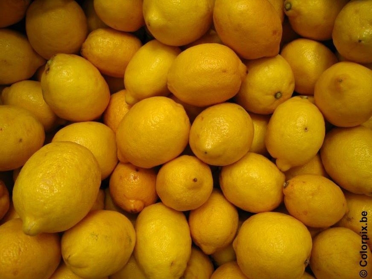 Foto av citroner – Skriv Ut Gratis Bilder – Bild 5358