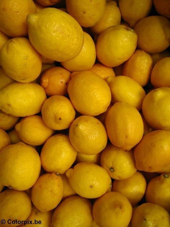 Foto av citroner – Skriv Ut Gratis Bilder – Bild 5358